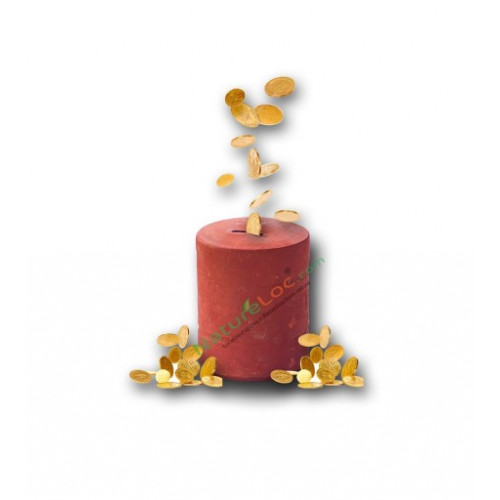 Buy Coin Box(Kudukka),Clay Gulak,100% Clay Coin Bank, Cash Storage ...