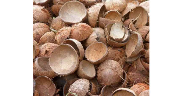 Buy Dry Coconut Shells Online -NatureLoc