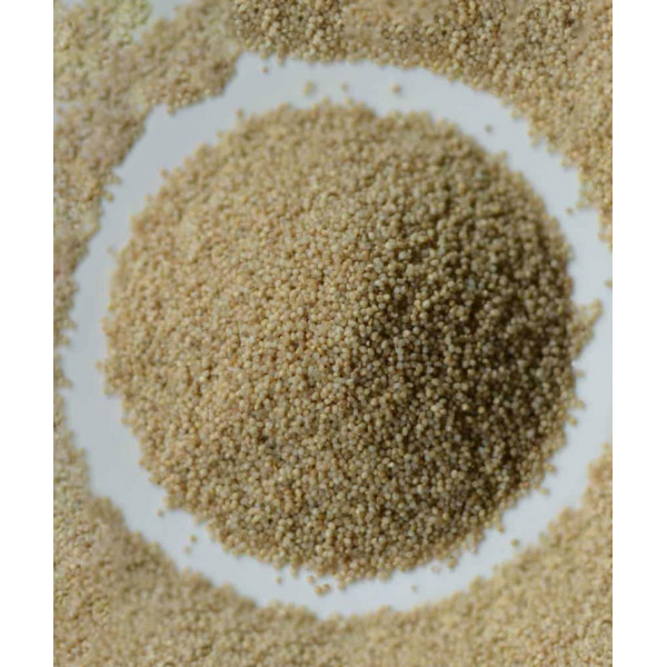 Buy little Millet Online | Chama Rice Kutki - NatureLoc