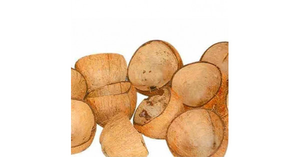 Buy Dry Coconut Shells Online -NatureLoc