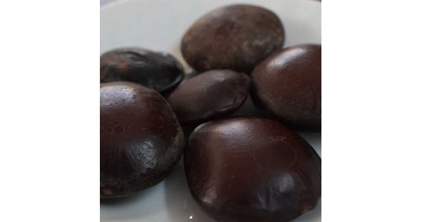 Kakkumkaya, Matchbox bean, Snuff Box Sea Bean buy online at best price ...