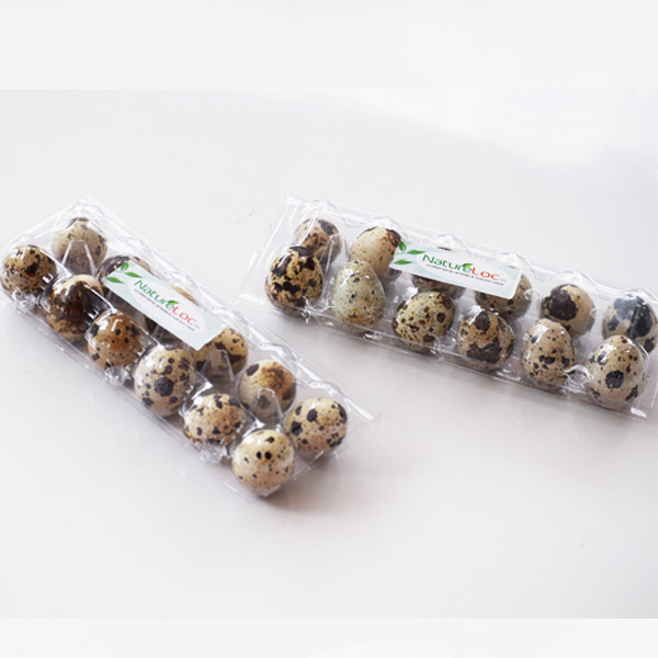 Buy Quail Eggs Online | Kada Mutta -NatureLoc