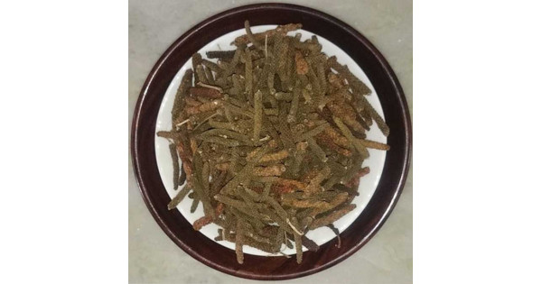 Thippali, Pippali, Long pepper - Buy Online at best price |natureloc